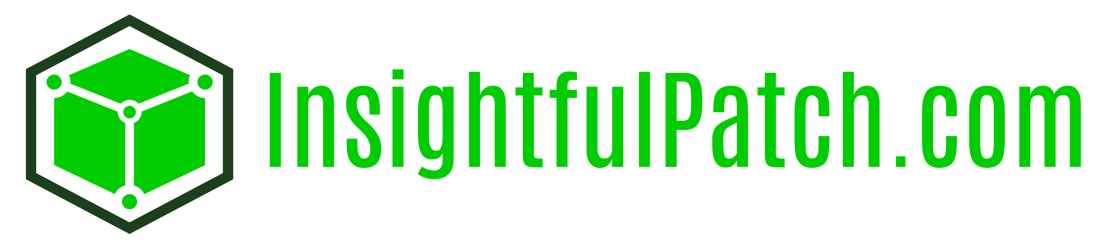 Homepage [www.insightfulpatch.com]